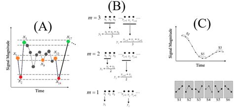 Figure A1 A Sample Entropy Se Forms The Backbone Of Mse
