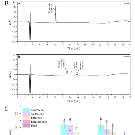 A Separation Of Carotenoids By Silica Cartridge Elution B Hplc Download Scientific Diagram