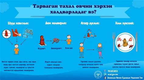 Нийслэлд тарваган тахал өвчин бүртгэгдлээ