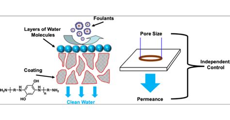Surface Modification Of Ultrafiltration Membranes With 1 4 Benzoquinone And Polyetheramines To