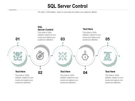 SQL Server Control Ppt Powerpoint Presentation Layouts Themes Cpb