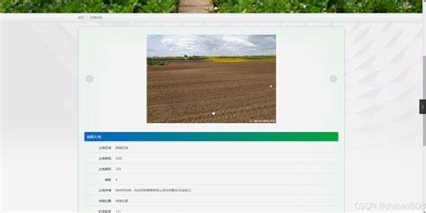 基于pythonflask框架的农村事务管理系统（开题程序论文） 计算机毕设 Csdn博客