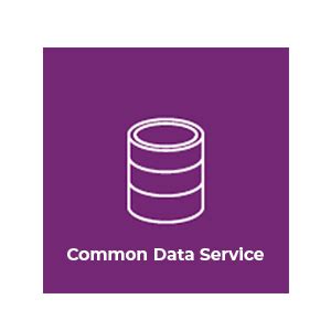 Microsoft Development Services Microsoft Solutions XDS