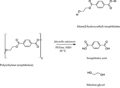 Microbial Depolymerization Of Polyethylene Terephthalate Download