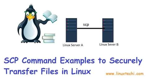 通过14个示例掌握 Linux 中使用 Scp 命令安全复制文件scp将一个目录下的文件复制到另一个目录下 Csdn博客