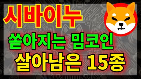 쏟아지는 밈코인 좀 멈출수 없을까 그래도 살아남은 15종 코인 시바이누 시바 Shib 시바전망 시바호재 비트코인 밈코인 도지코인 리플 Youtube