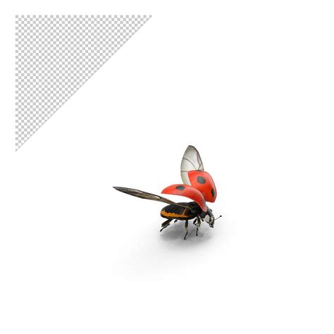 Premium Psd Ladybug Flying Pose Png