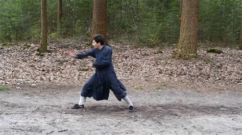 Traditional Shaolin Xiao Hong Quan 小洪拳 Youtube