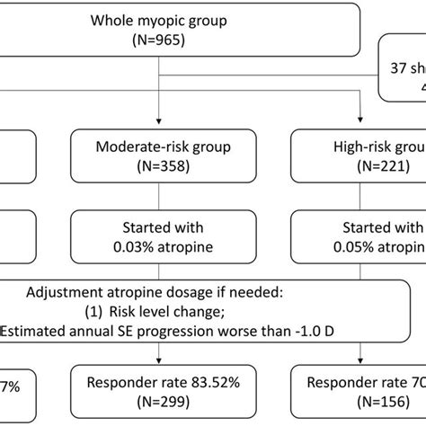 The Study Protocol Of The Second Part Of The Study The Atropine