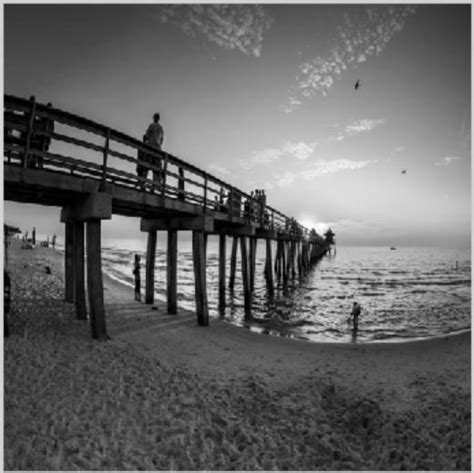 using 2d dct ii iii algorithms i e mcos2 x n and mcos3 x n download scientific diagram