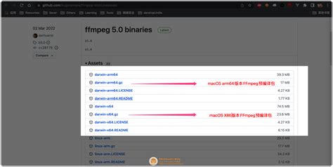 在Linux Mac Windows上配置FFmpeg开源音频工具轻松完成视频转码音频混合等操作 雨月空间站