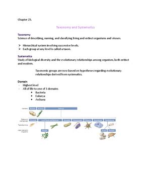 Intro To Biology Exam Flashcards Quizlet Intro To Biology Exam Science Biology Cell