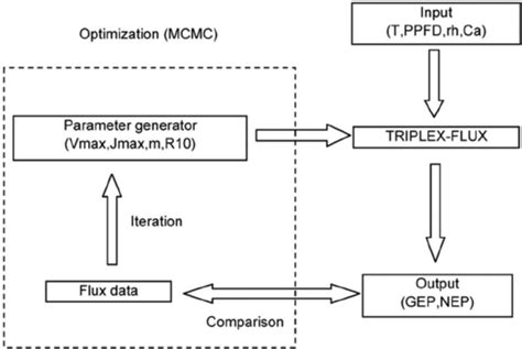 Schematic Diagram Of The Model Data Assimilation Approach Used To