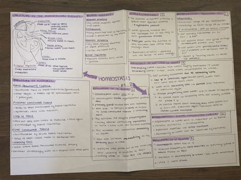 Homeostasis 2 Aqa Artofit