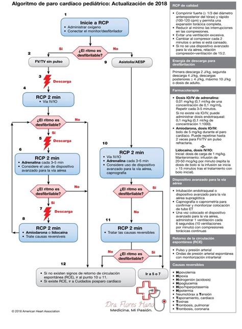 Medicina Mi Pasion Soporte Vital Avanzado PediÁtrico ActualizaciÓn Del Algoritmo De Svap