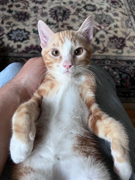 What Big Feet U Have Rkittens