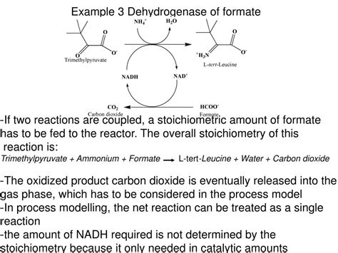 Ppt Simulation Of Bioprocess Ert 315 4 Powerpoint Presentation Free Download Id 5714764