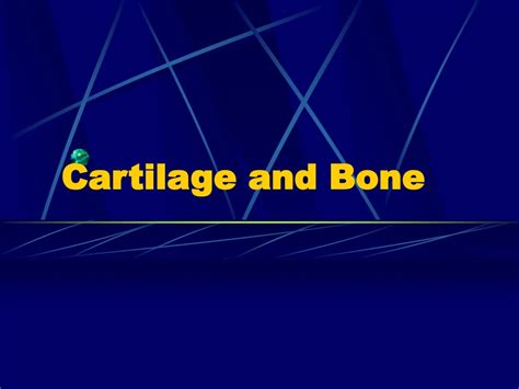 Ppt Cartilage And Bone Powerpoint Presentation Free Download Id 8165357