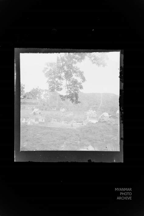 Large Format Negative Myanmar Photo Archive