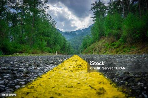 숲 사이의 시골 길 아스팔트 도로와 대기 장면입니다 클로즈업 촬영 가을에 대한 스톡 사진 및 기타 이미지 가을 거리 경관 Istock