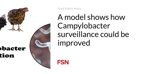 A Model Shows How Campylobacter Surveillance Could Be Improved Food