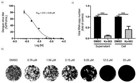 Ka 003 Exhibited Dose Dependent Anti Denv Activity Ab Gfp Lc3 Ki