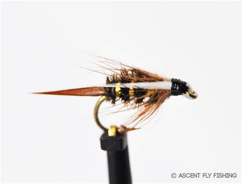 Prince Nymph — Ascent Fly Fishing