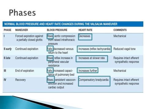 Evaluation Of Autonomic Nervous System Pptx