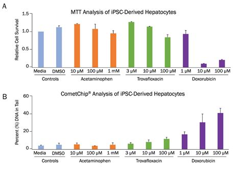 Proliferation Assay Tumor Cell Proliferation Assay Creative