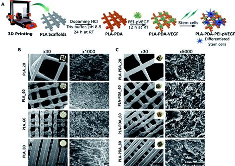 Polydopamine Functionalized Vegf Gene Activated 3d Printed Scaffolds