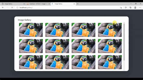 Insert Image Fetch Multiple Images Delete Images In Mysql Database