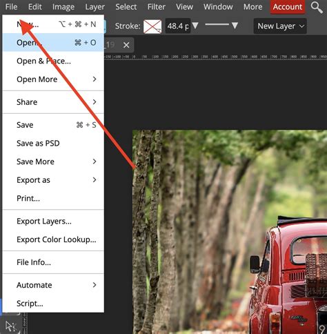 How To Remove Background In Photopea Step By Step Tutorial Edits