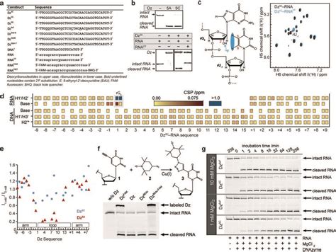 Properties Of Used Constructs And Validation Of Applied Download Scientific Diagram
