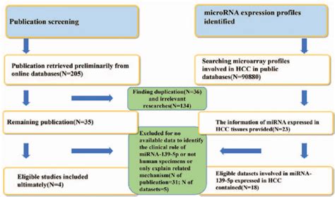 Flow Chart Illustrating The Process For Selecting Published Studies And