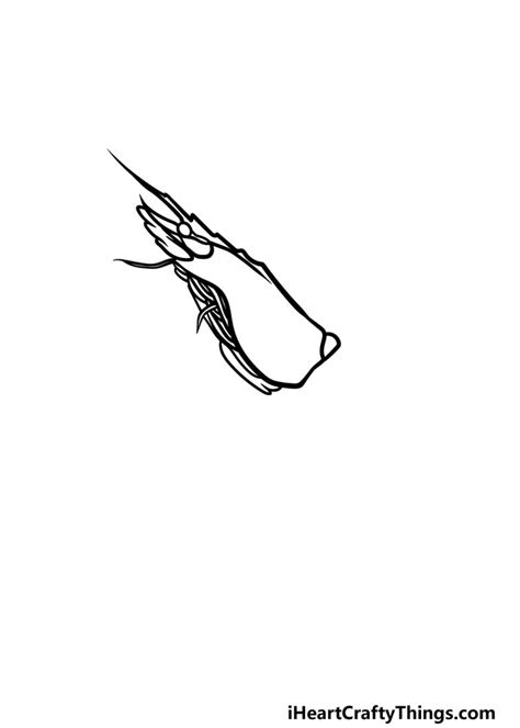 Shrimp Drawing How To Draw A Shrimp Step By Step