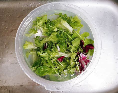 리코타치즈 샐러드 And 발사믹 드레싱