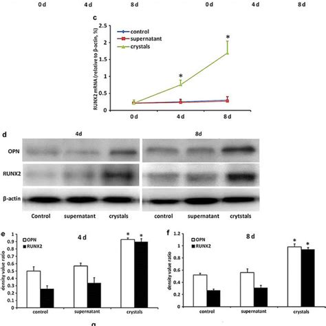 Pyrophosphate Ppi Prevents Calcium Deposition And Osteogenic Gene Download Scientific Diagram