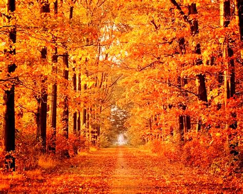 Free Photo Autumn Scene Autumn Autumnal Blue Free Download Jooinn
