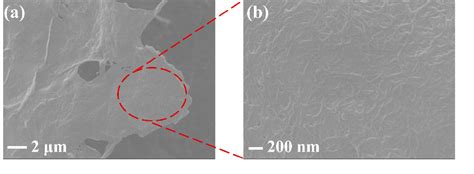 Figure 2 From Ferrous Oxalate Modified Aramid Nanofibers Heterogeneous Fenton Catalyst For