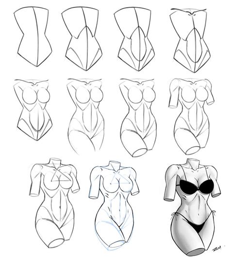 Drawing A Female Torso Step By Step Tutorial By Robertmarzullo On Deviantart