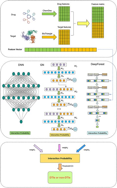 Frontiers Identifying Potential Drug Target Interactions Based On