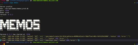Cant Open Frontend Issue Usememos Memos GitHub