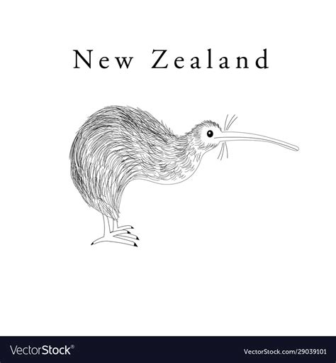 Kiwi Logo