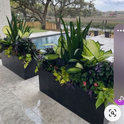 16 Tropical Deck Design Ideas To Save Today Backyard Deck Design Pool Landscape Design And More