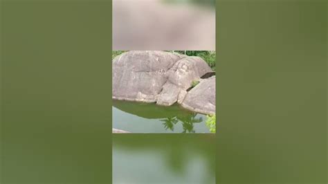 ඓතිහාසික පරමාකන්ද රජමහා විහාරය 🙏🇱🇰🤍 Srilankahistory උරුමය Youtube