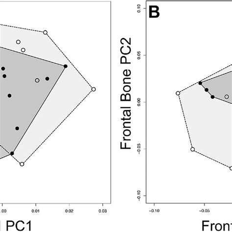 Landmarks Used For Geometric Morphometric Analyses Of Skull And Frontal