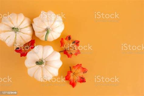 파스텔 오렌지 배경에 흰색 호박 세 가지와 밝은 단풍 나무 잎과 가을 정물 텍스트공간을 복사합니다 디자인 초대 인사말 카드에 대한 템플릿 0명에 대한 스톡 사진 및 기타
