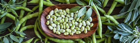 Faba Bean Healthferm