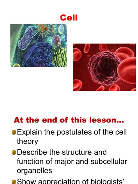1 Cell Structure Function Pdf Endoplasmic Reticulum Cell Biology