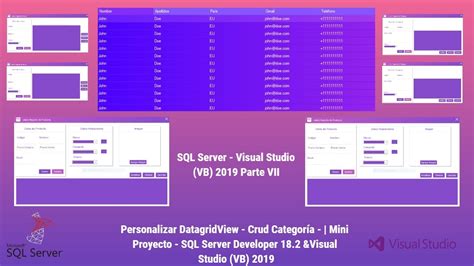 Personalizar Datagridview Crud Mini Proyecto Sql Server Developer